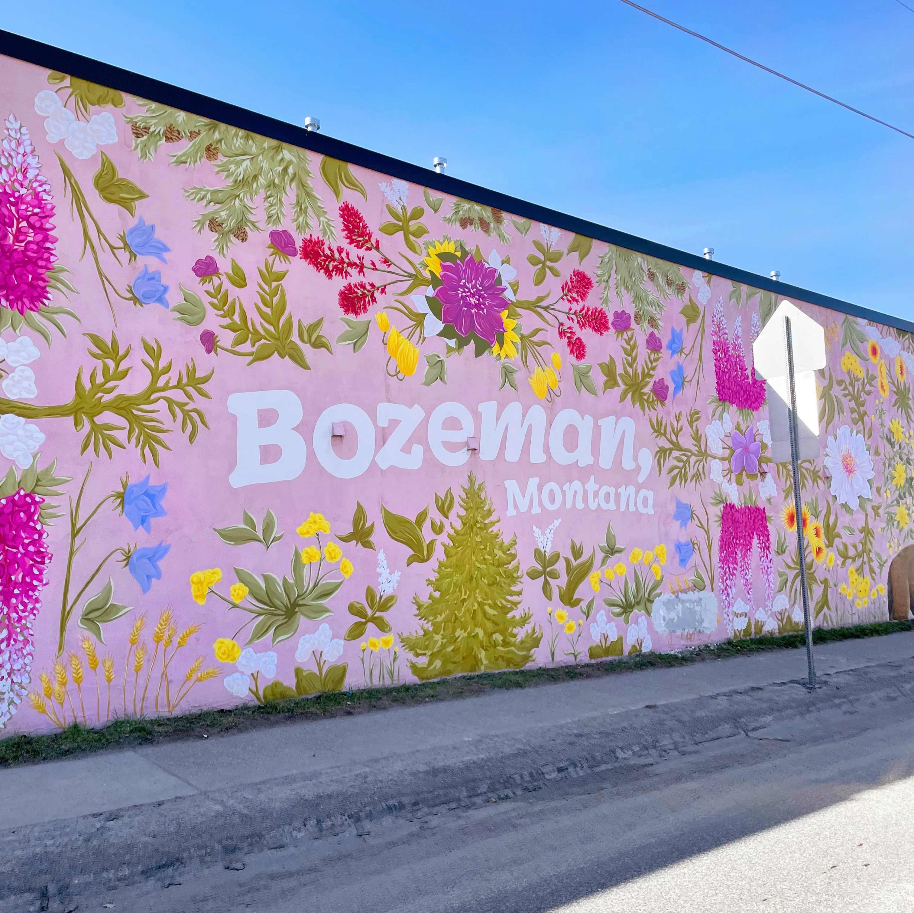 17 Things To Do In Bozeman This Summer From A Local Foodie – Alia Marie ...